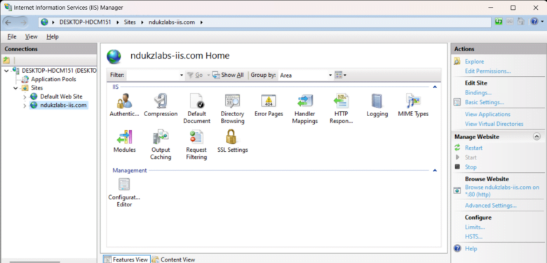 Cara Mengaktifkan IIS (Internet Information Services) di Windows 11 ...