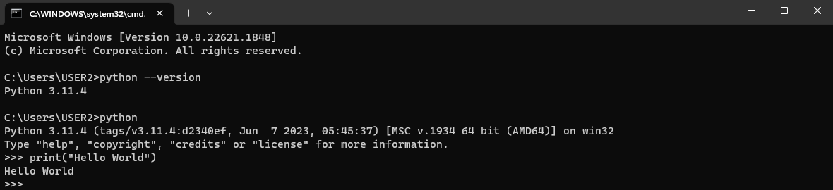 Cara Menginstall Python di Windows 11
